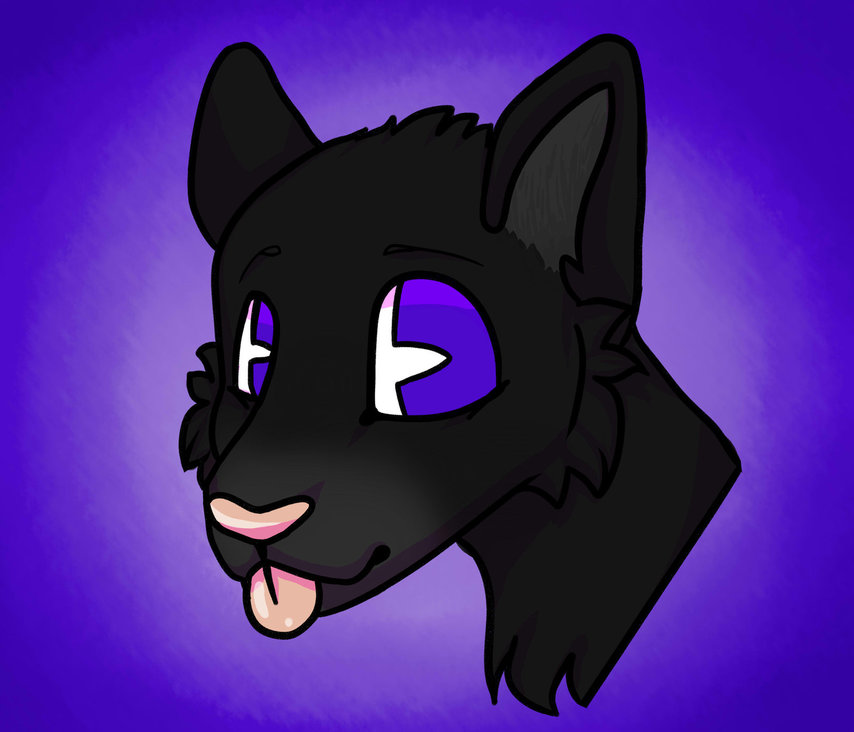 Image of Raven - Refsheet.net