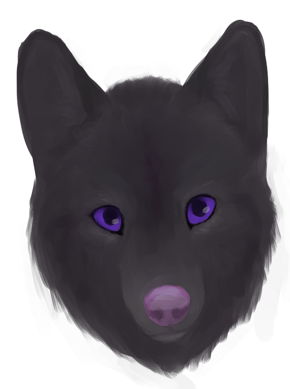 Image of Raven - Refsheet.net