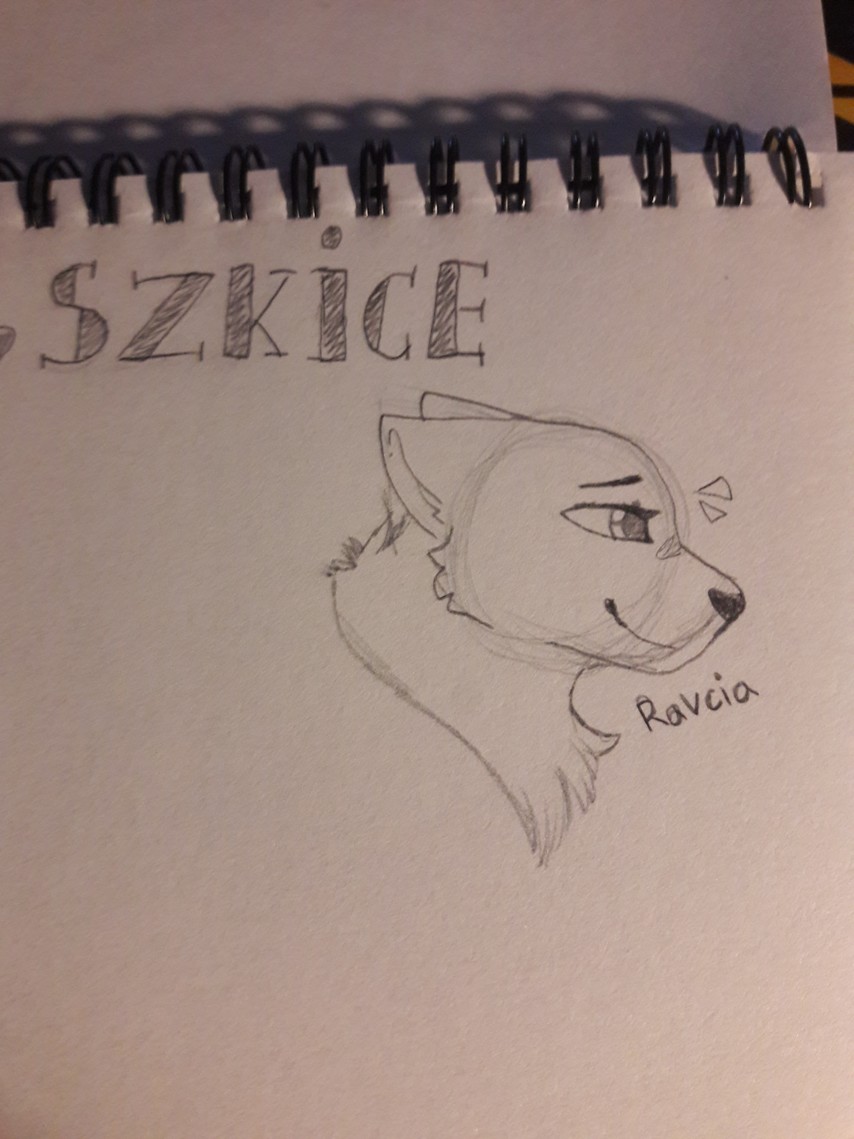 Image of Raven - Refsheet.net