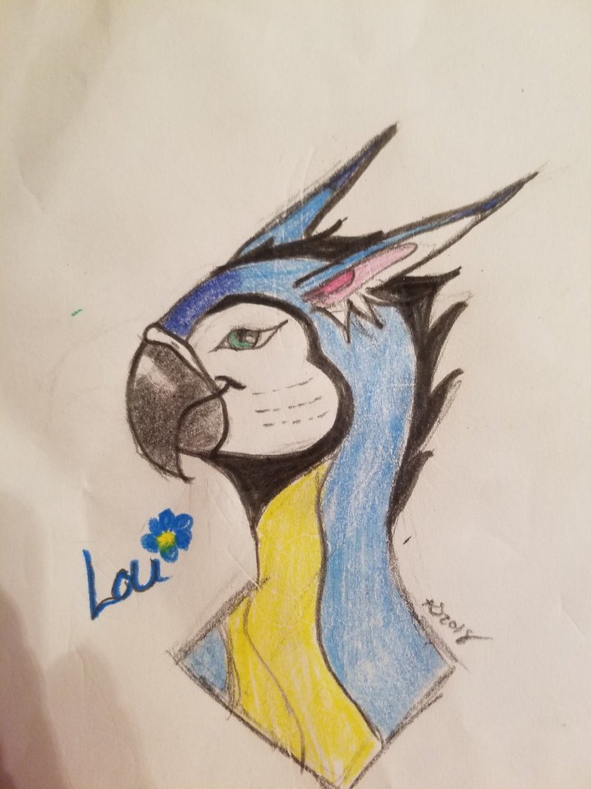 Image of Lou - Refsheet.net