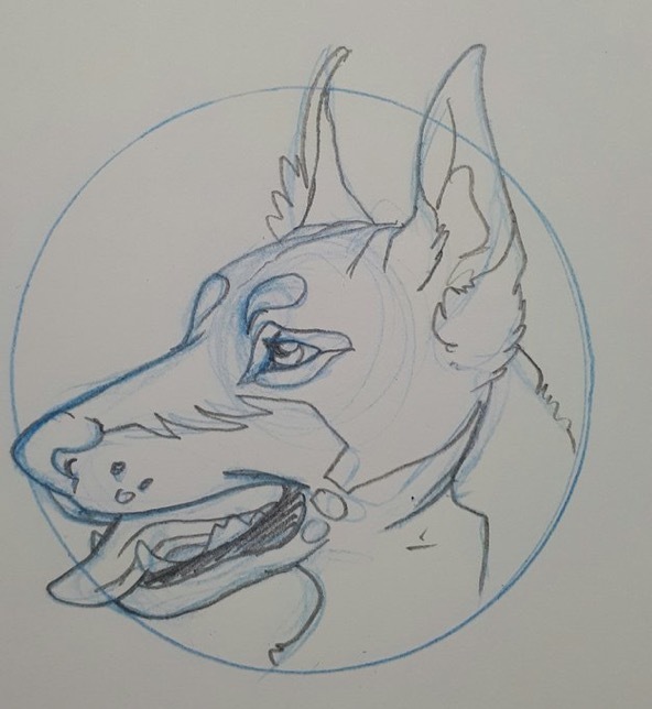 Image of Dexter - Refsheet.net