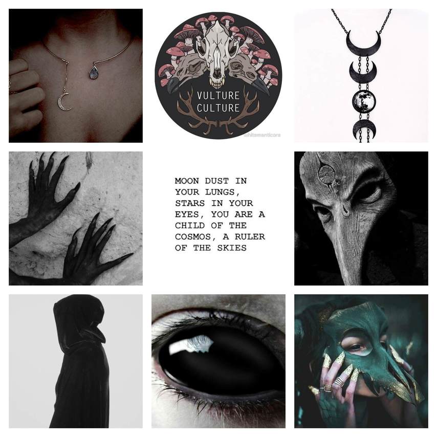 Image of Charlotte Apphia Montez - Refsheet.net