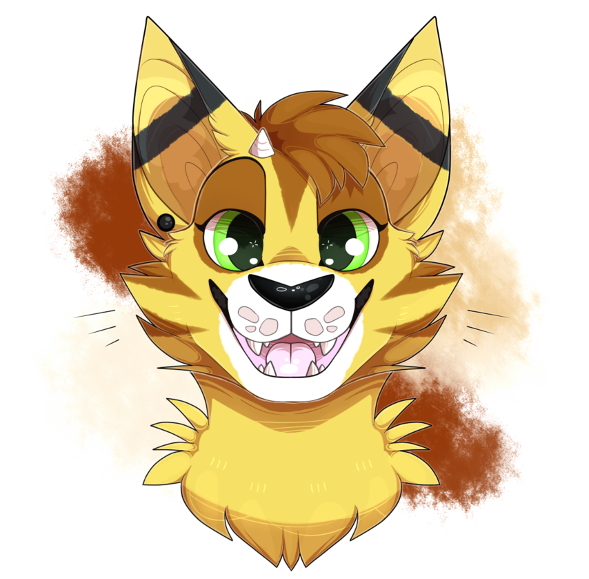 OLD DESIGN - Refsheet.net