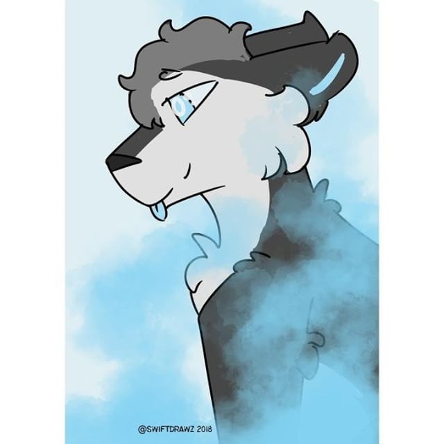 Image of Salt and Pepper - Refsheet.net