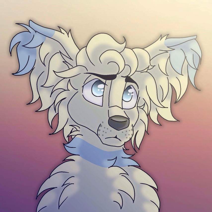 Image of Furrycon - Refsheet.net