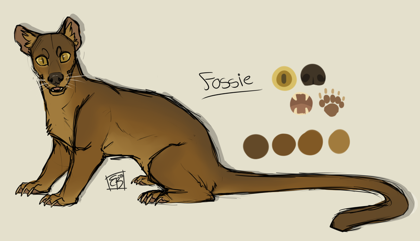 Image of Fossie - Refsheet.net