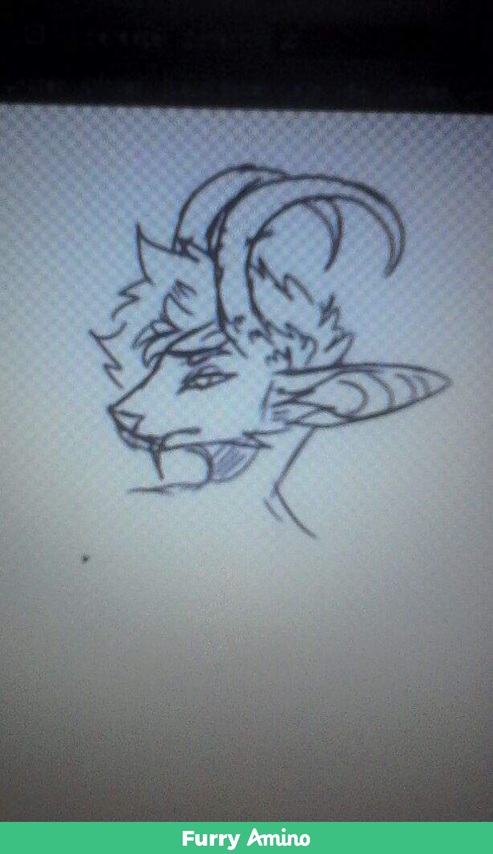 Image of Venka - Refsheet.net