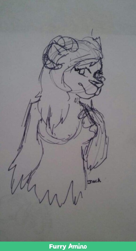 Image of Kandy - Refsheet.net