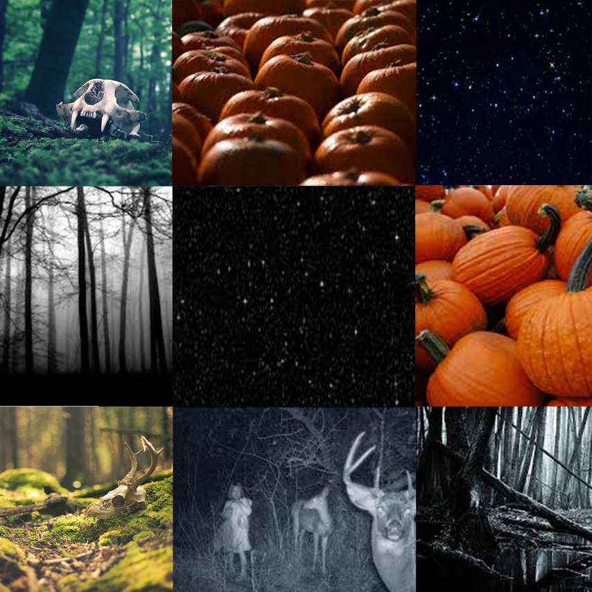 Image of Skull Lantern - Refsheet.net