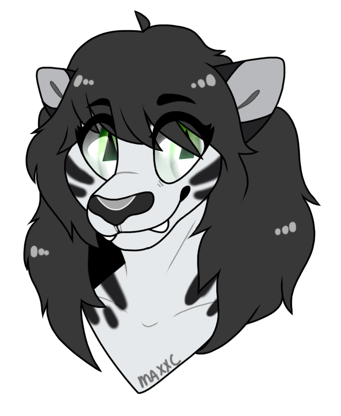 Image of Zeeb - Refsheet.net