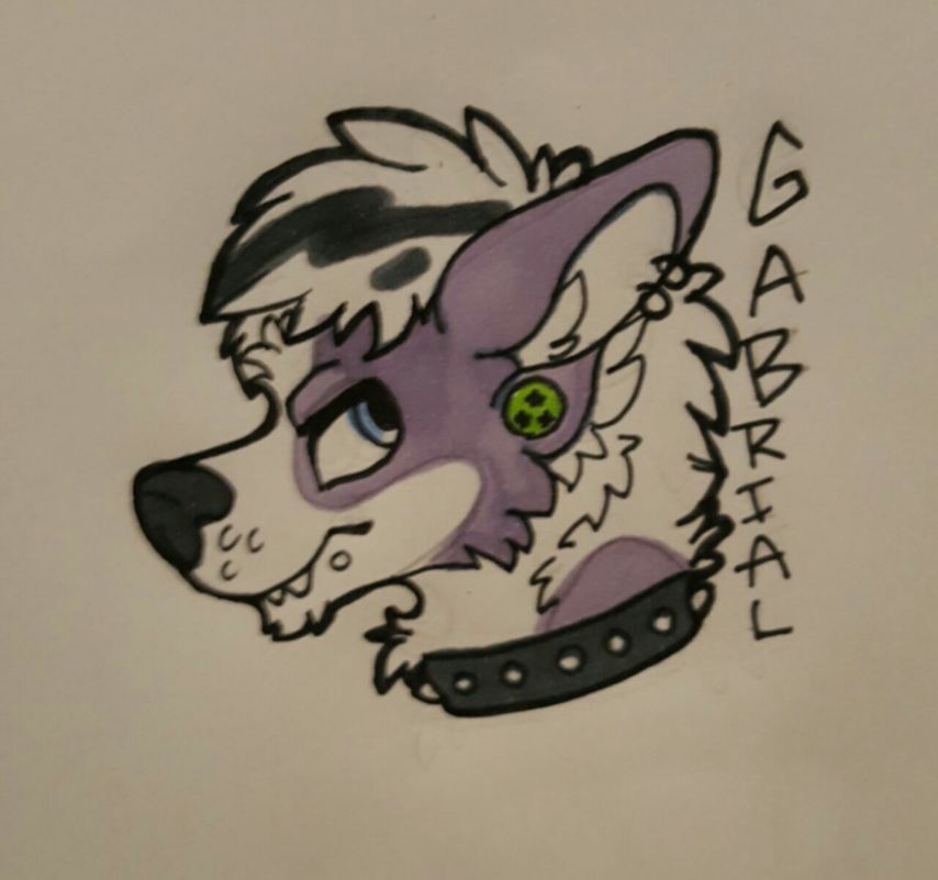 Image of Gabriel "Gabe" - Refsheet.net