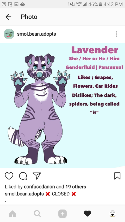 Image of Lavender - Refsheet.net