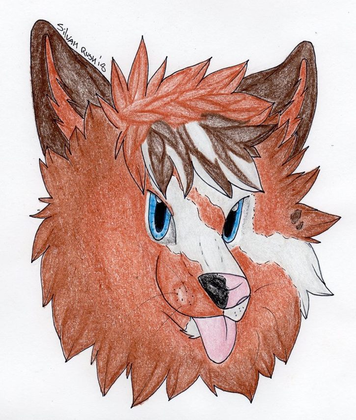 Image of Monica (Mocha) - Refsheet.net