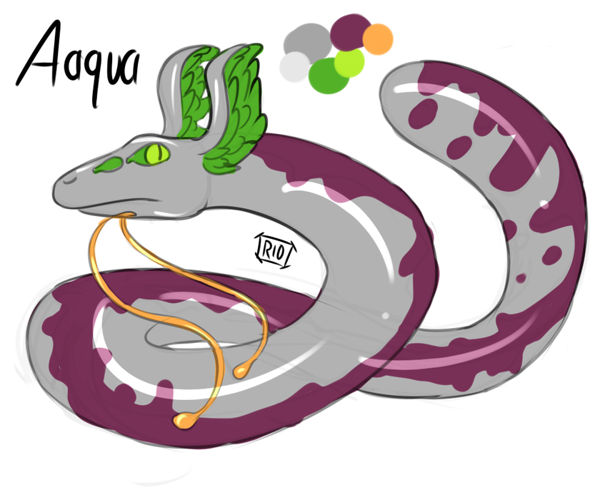 Image of Aaqua - Refsheet.net