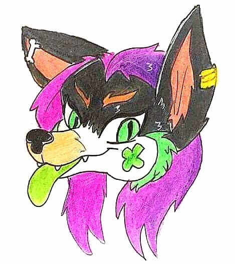 Image of JDOGG - Refsheet.net