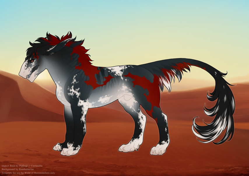 Image of Cormac - Refsheet.net