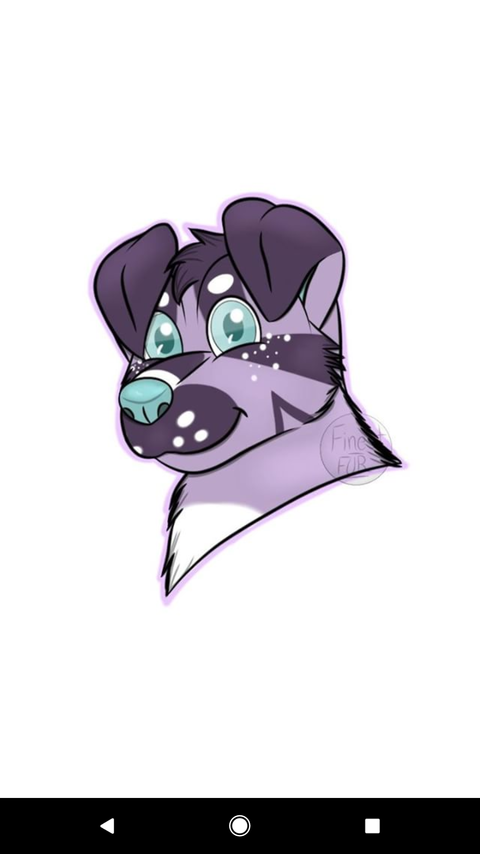 Image of Lavender - Refsheet.net