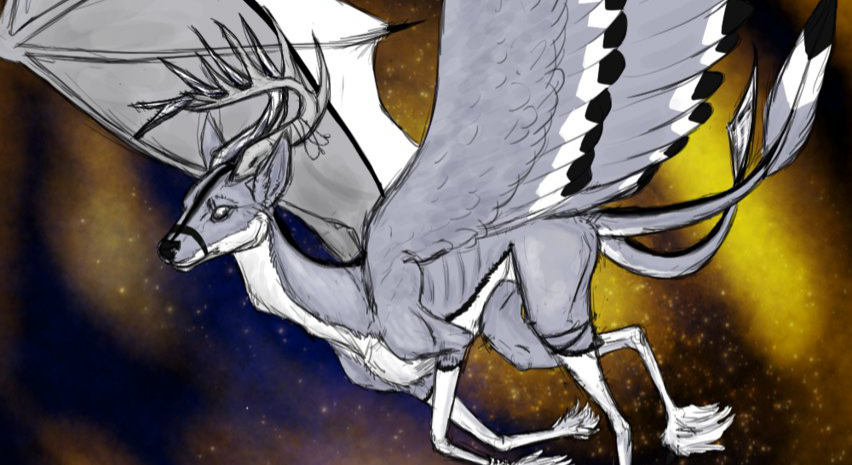 Image of Wyrex - Refsheet.net