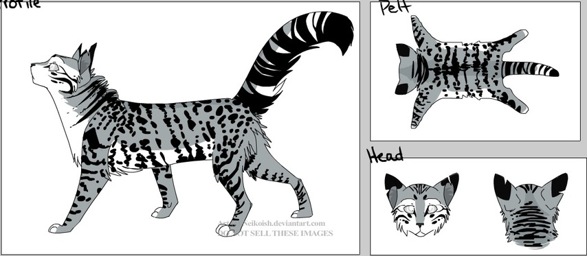 Image of Spidereyes - Refsheet.net