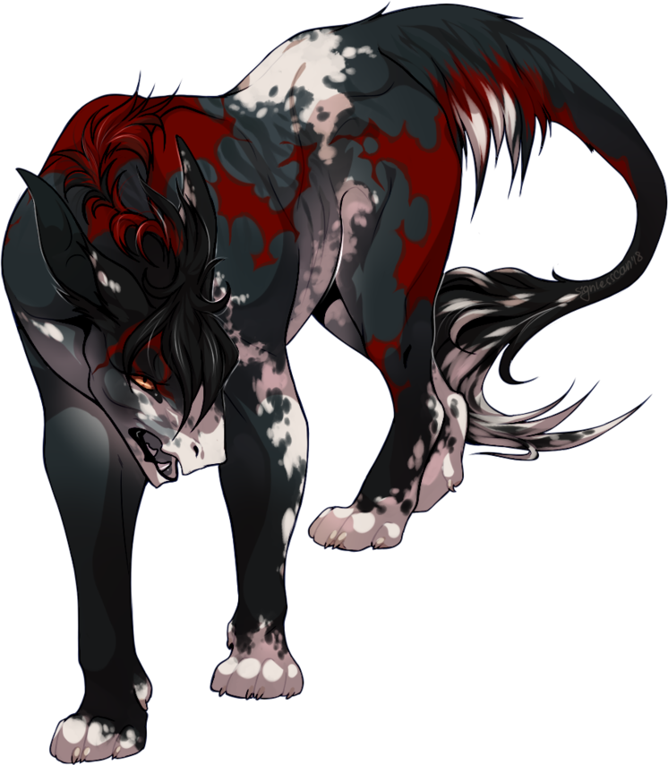 Image of Cormac - Refsheet.net