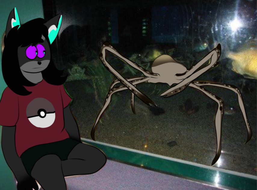 Image of Sunday - Refsheet.net