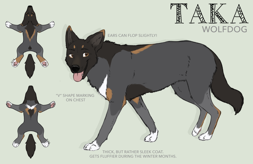 Image of Takashi "Taka" - Refsheet.net
