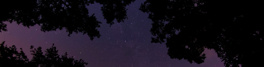 Header - Refsheet.net