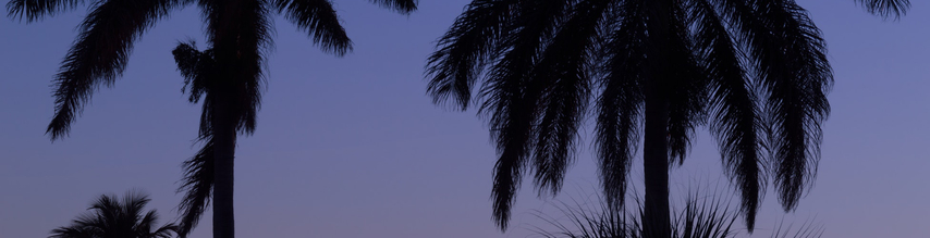 Header - Refsheet.net