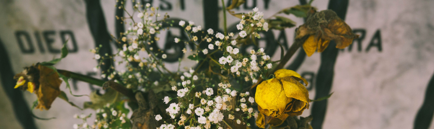 Header - Refsheet.net