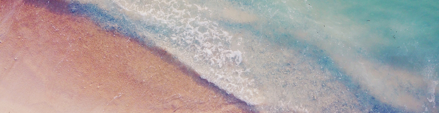 Header - Refsheet.net