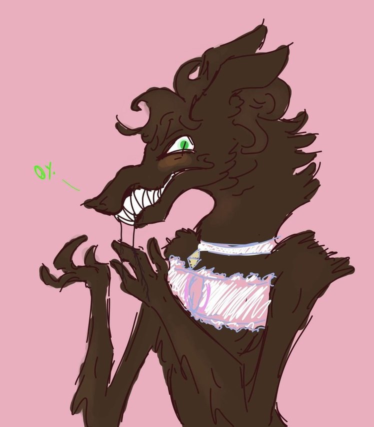 Image of Nigellus Borealis - Refsheet.net