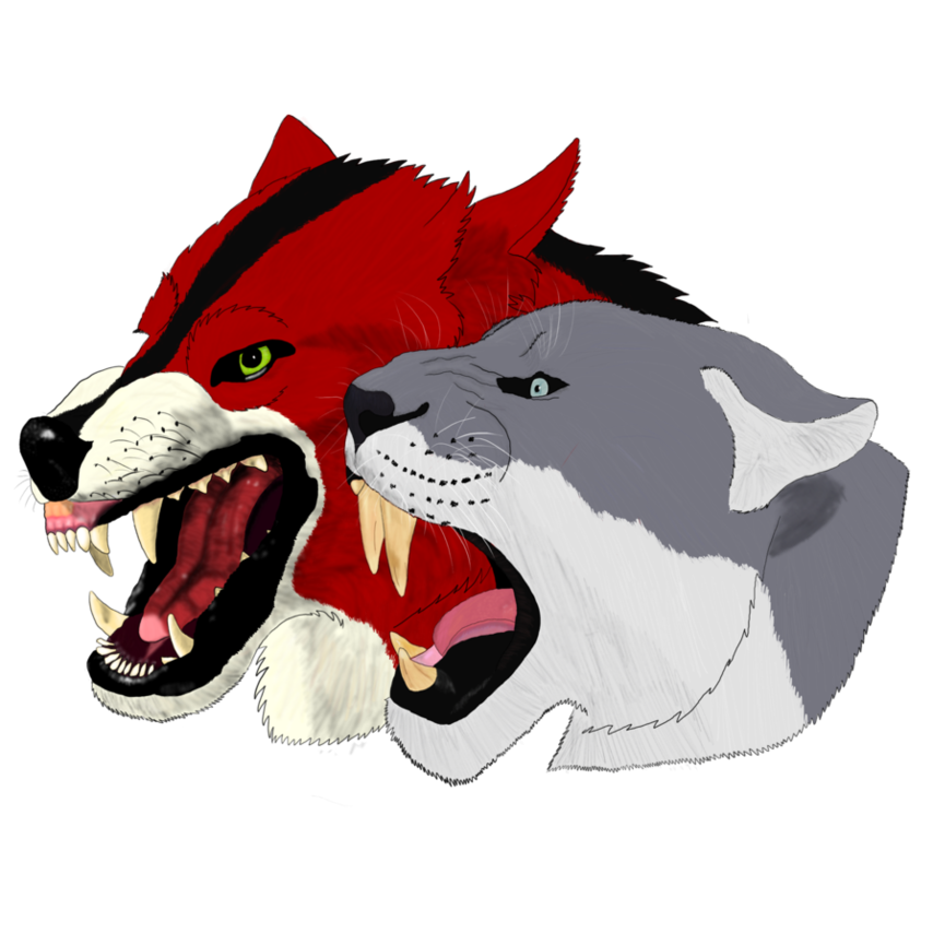 Image of Aero - Refsheet.net