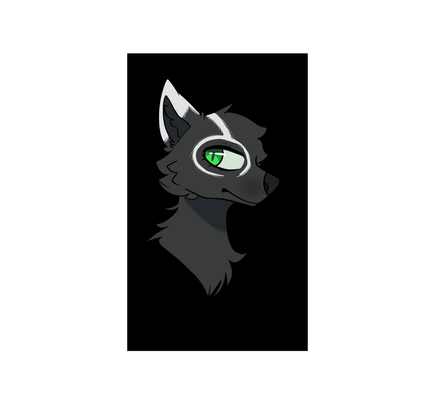 Image of Silver - Refsheet.net