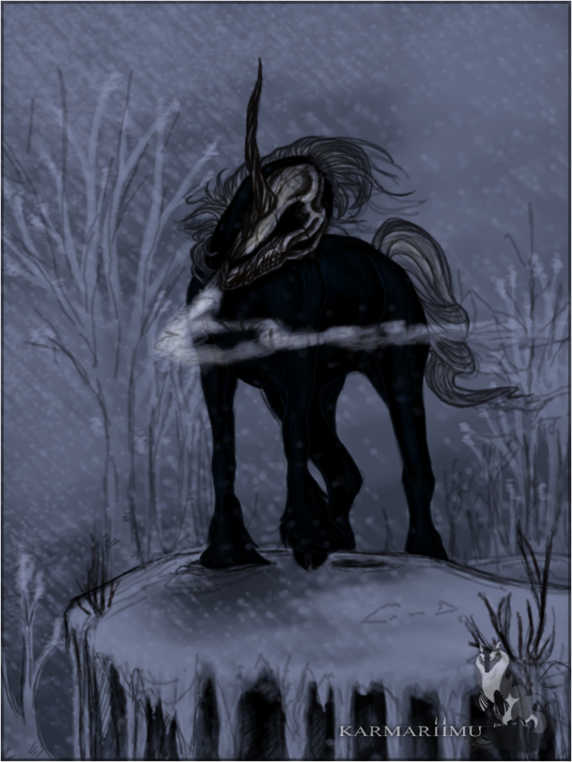 Image of Surmarutto - Refsheet.net