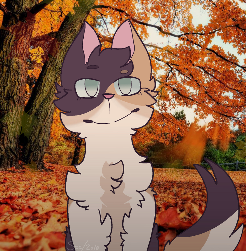 Image of poppynose - Refsheet.net