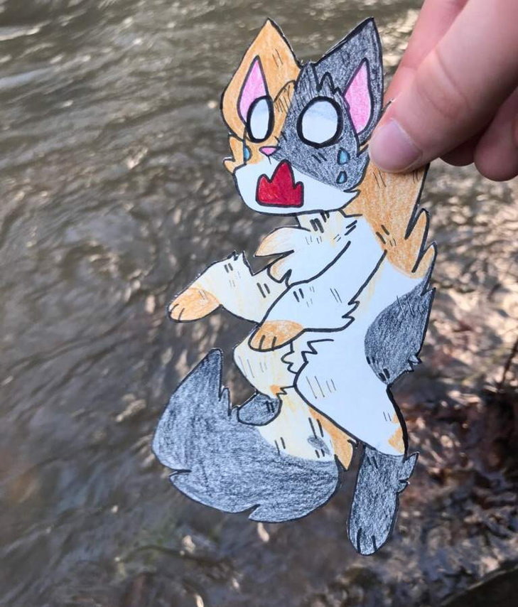 Image of poppynose - Refsheet.net