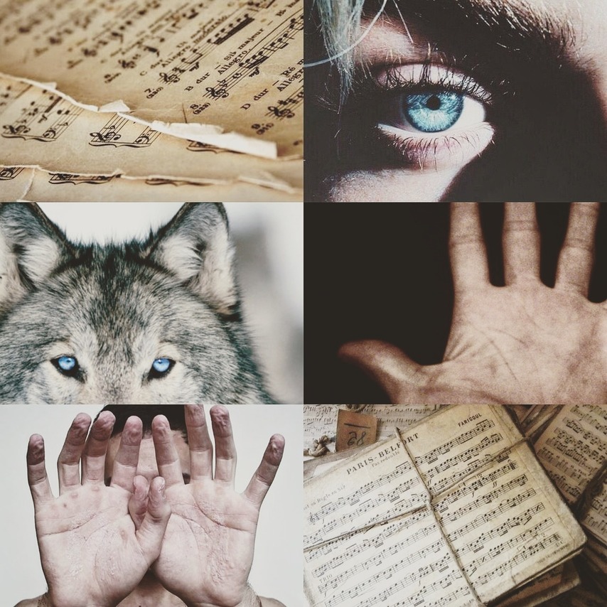 Image of ludwig - Refsheet.net