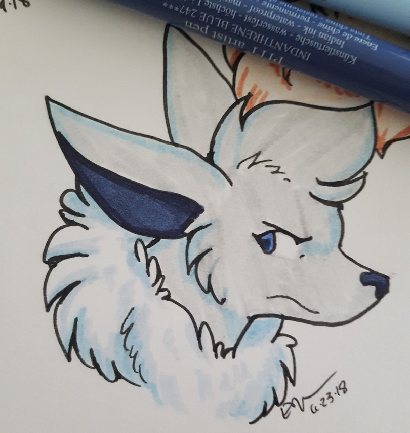 Image of ♤Dawn♤ - Refsheet.net