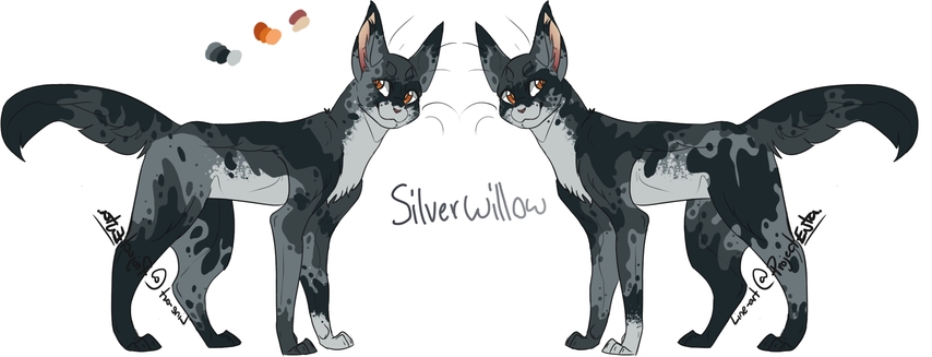 Image of silverwillow - Refsheet.net
