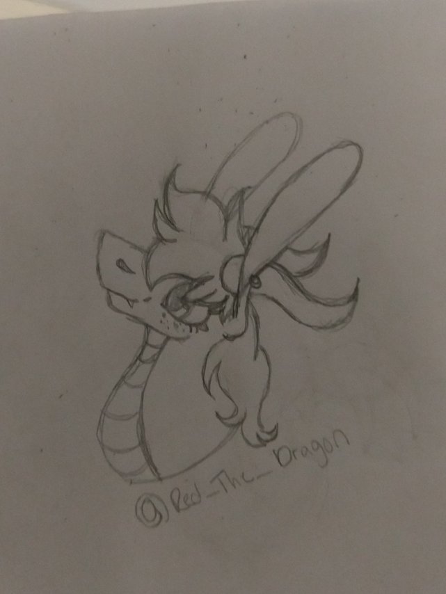 Image of Red Night - Refsheet.net