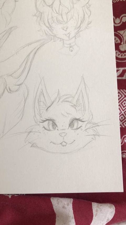 Image of Spark - Refsheet.net