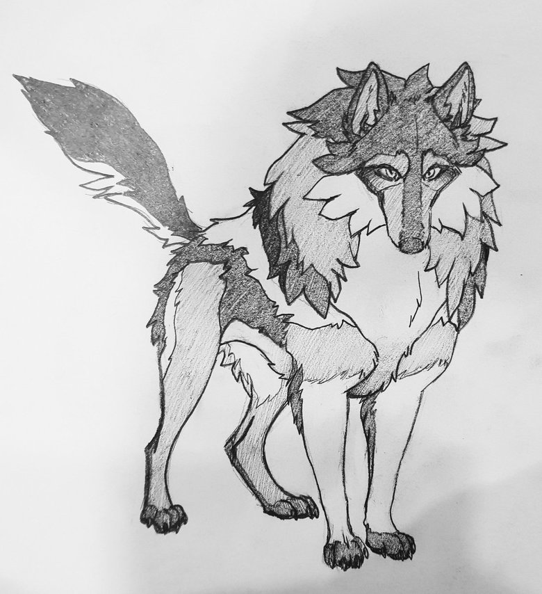 Image of Reylai (Art Collection) - Refsheet.net