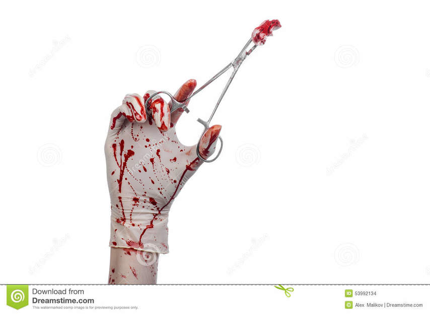 Image of Marcus Peppi Sarto - Refsheet.net