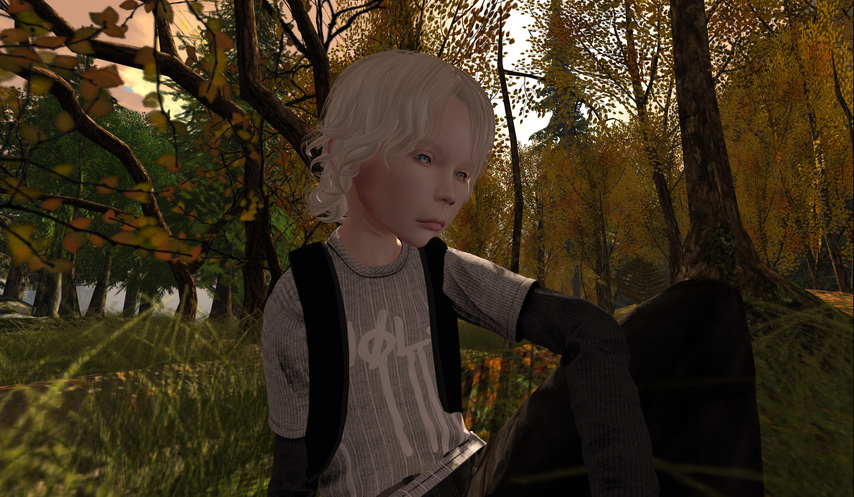 Caleb - Refsheet.net