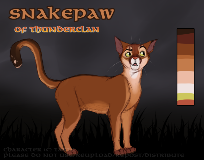 snake warrior cats