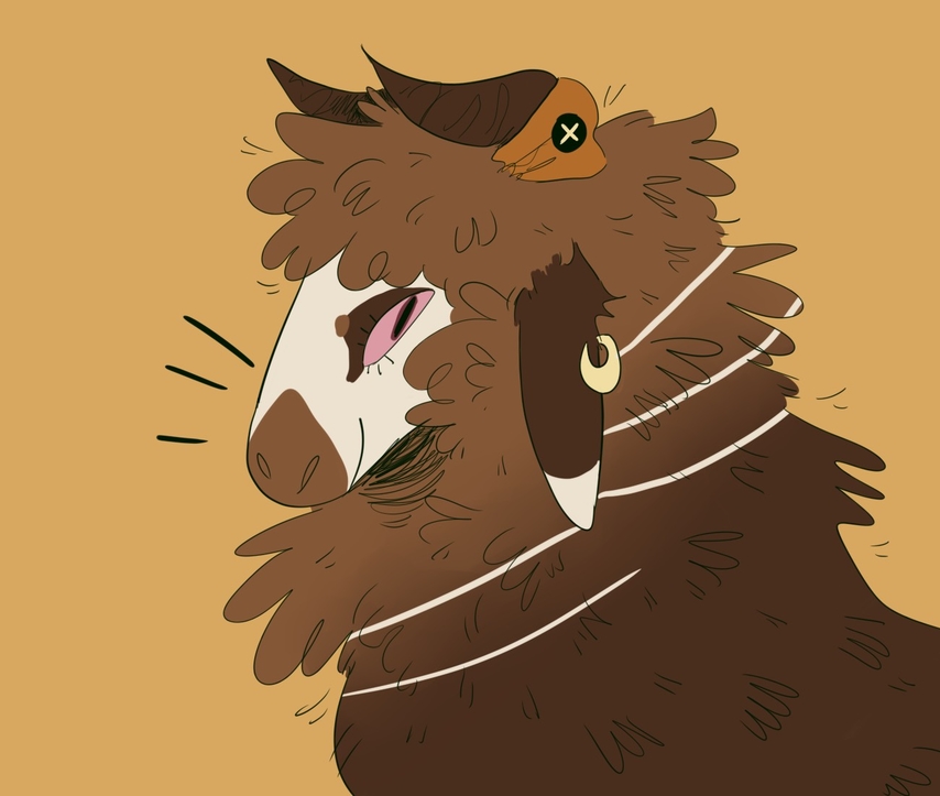 Sockling - Refsheet.net