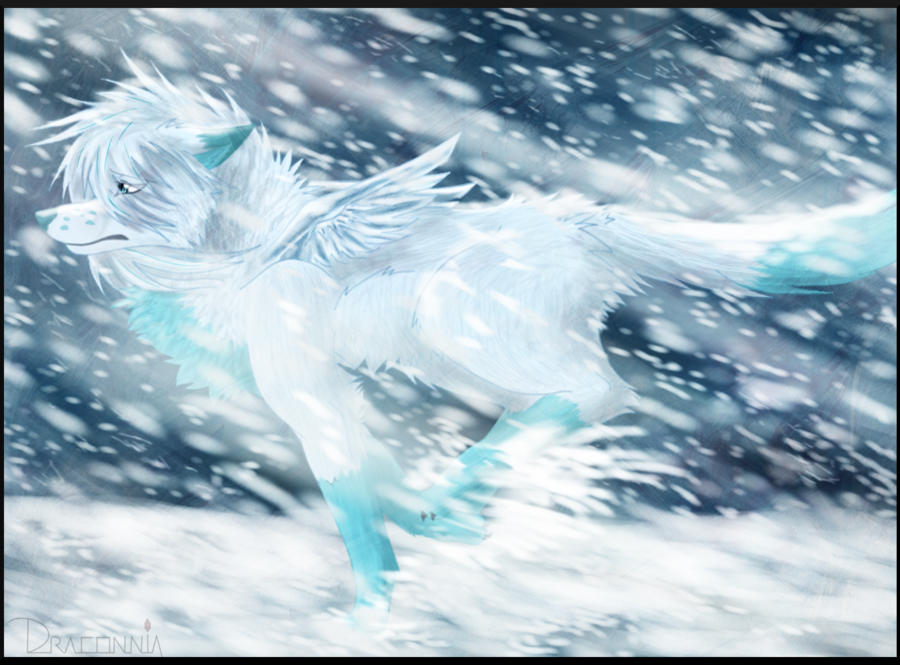 elemental ice wolves