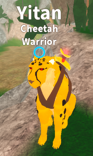 cheetah warrior
