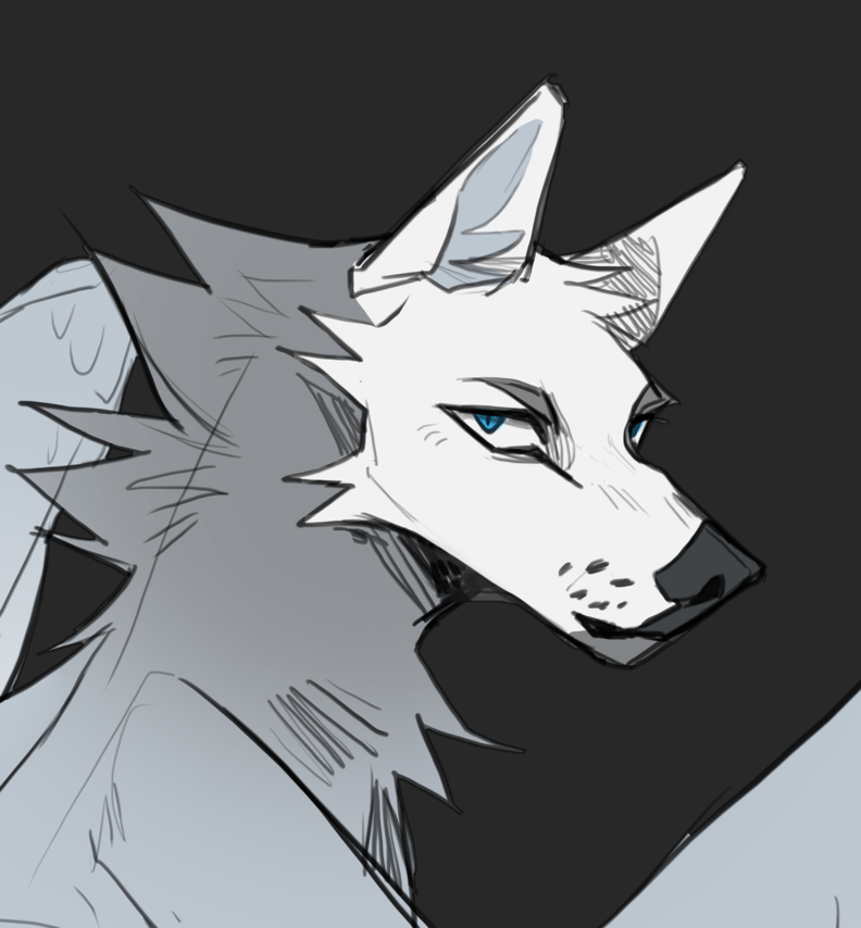 Anime Silver Wolf With Wings