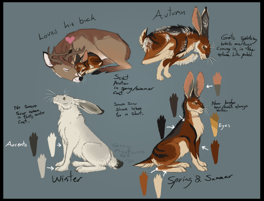 Hare - Refsheet.net